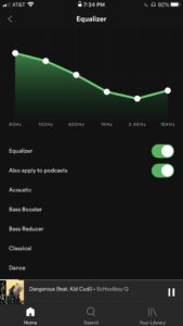 Best Spotify Equalizer Settings: Enhance Your Listening Experience ...